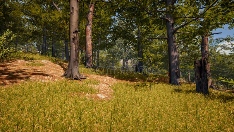 Landscape To Illustrate Sustainable Development Goals, and Ecosystem ...