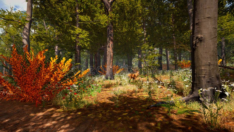 Landscape To Illustrate Sustainable Development Goals, and Ecosystem ...