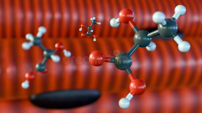 3d Rendering of Lactic Acid Molecules and Skeletal Muscle. Stock ...
