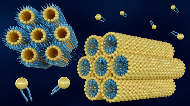 A 3D Rendering of a Lamellar Phase and an Inverse Hexagonal Phase Stock ...