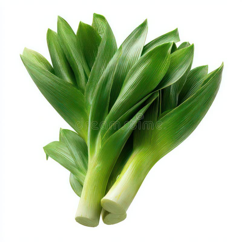 3D Rendering of a Leek, Fresh Vegetable Texture, Isolated on Stock ...