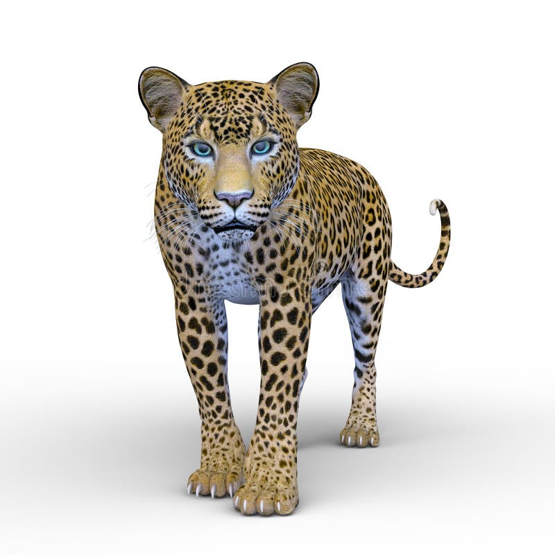 3D rendering of a leopard stock illustration. Illustration of print ...