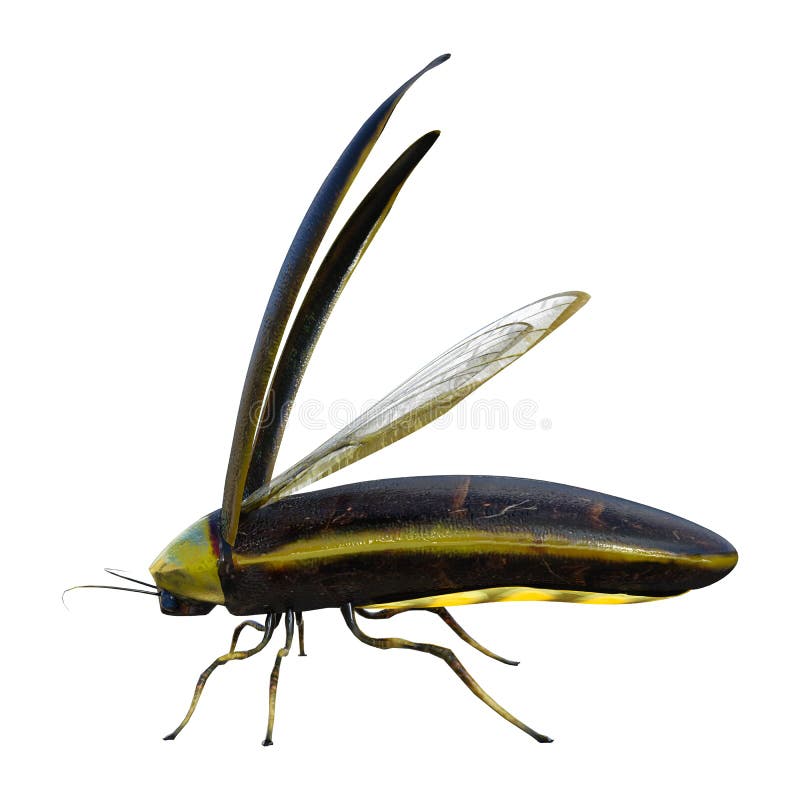 Lightning Bug Stock Illustrations – 687 Lightning Bug Stock ...