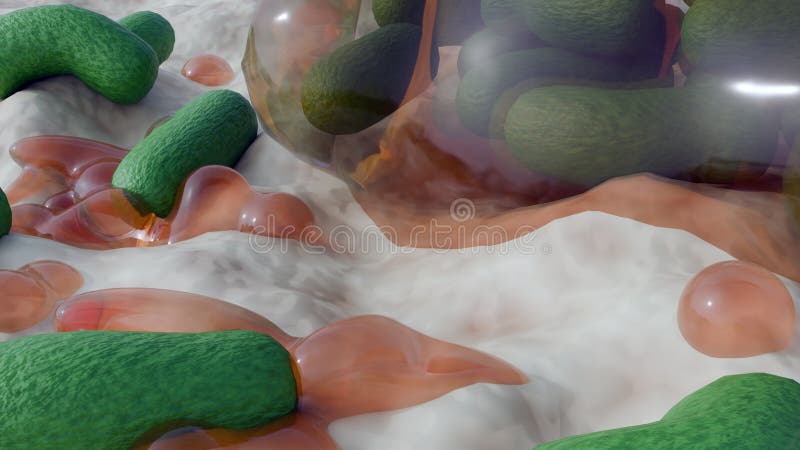 Group of Bacteria Inside of Extracellular Polymeric Substance Forms the ...