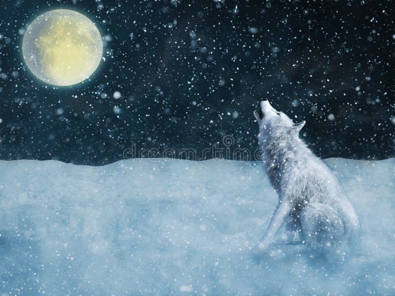3D Rendering of a Majestic White Wolf Howling in Moonlight Stock ...
