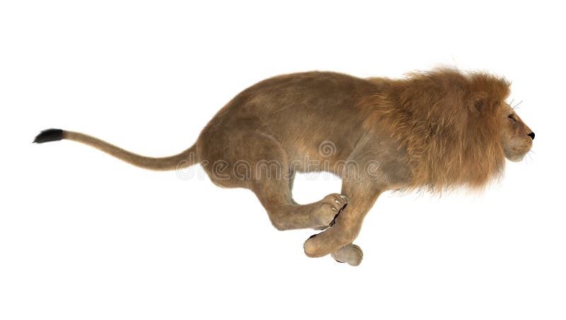 Lion Running Fast Wallpaper