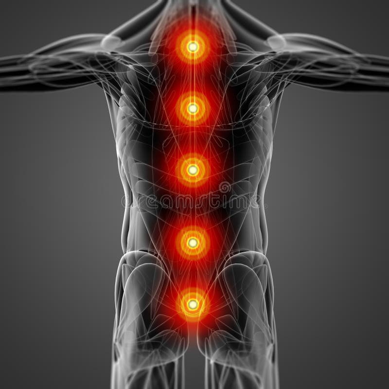 3D Rendering of Male Muscles Stock Illustration - Illustration of flesh ...