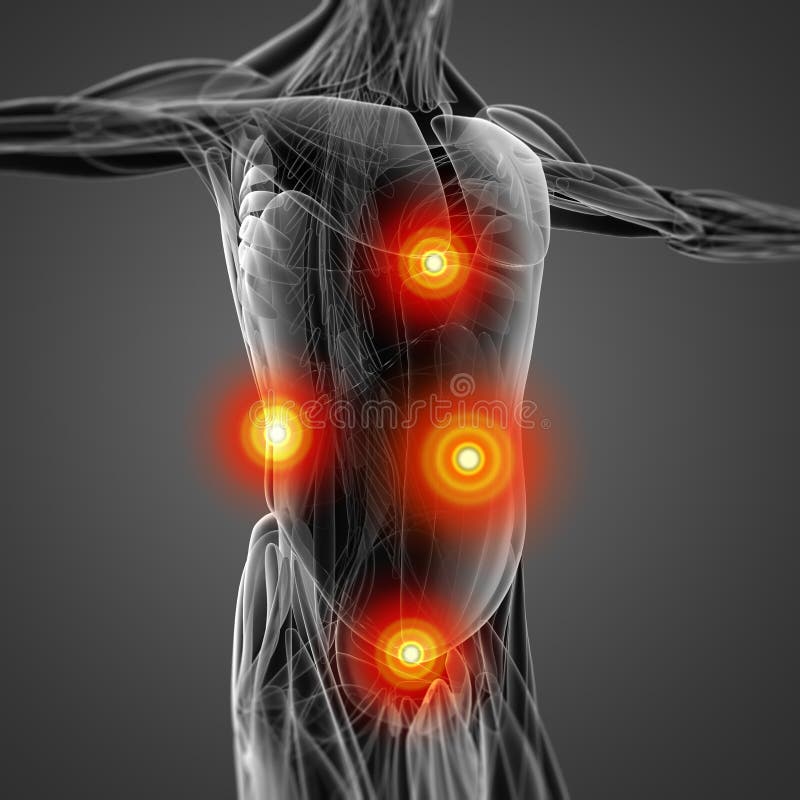 3D Rendering of Male Muscles Stock Illustration - Illustration of ...