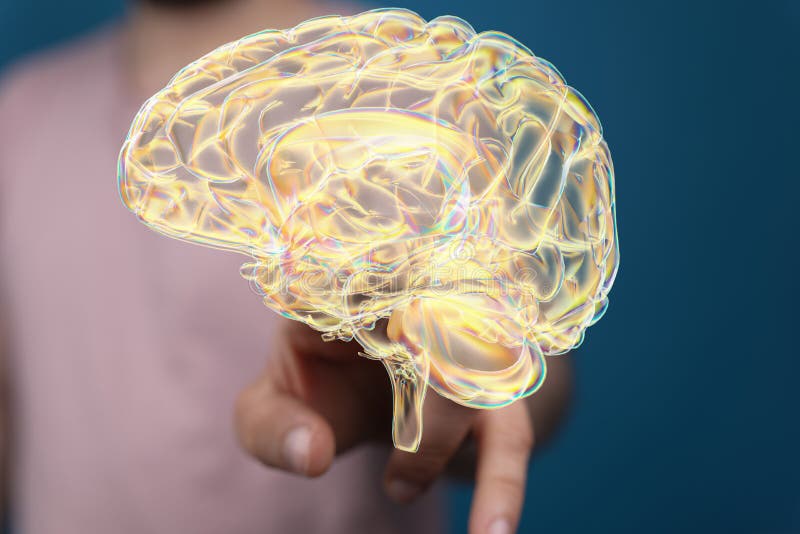 3D Rendering of a Man Pointing at a Human Brain Anatomical Model Stock ...