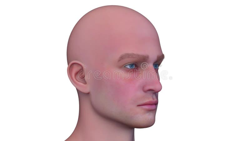 3D Rendering of a Man S Face Close-up Stock Footage - Video of model ...