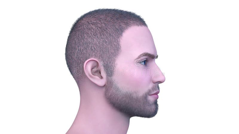 3D Rendering of a Man S Face Close-up Stock Footage - Video of style ...