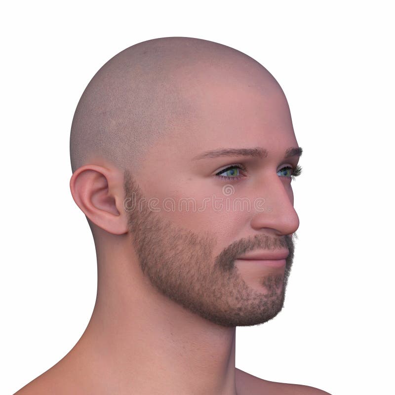 3D Rendering of a Man S Face Close-up Stock Illustration - Illustration ...