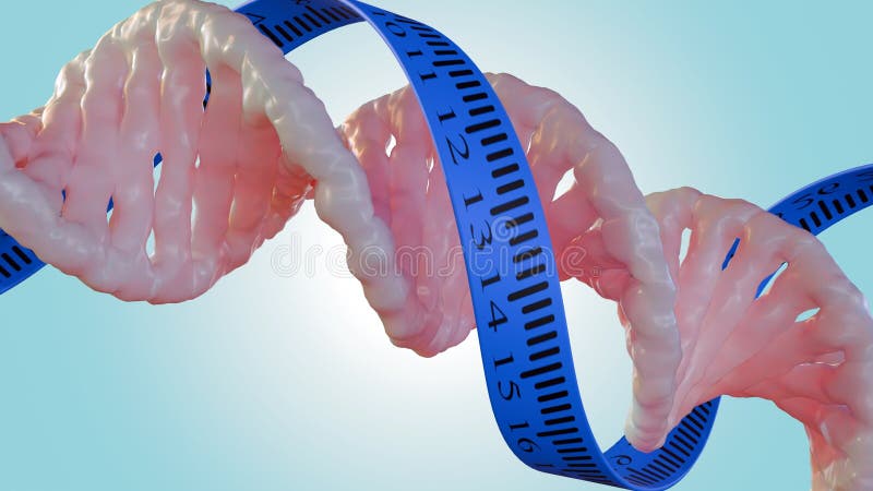 A 3d Rendering of Measuring Tape and DNA Helix Stock Illustration ...