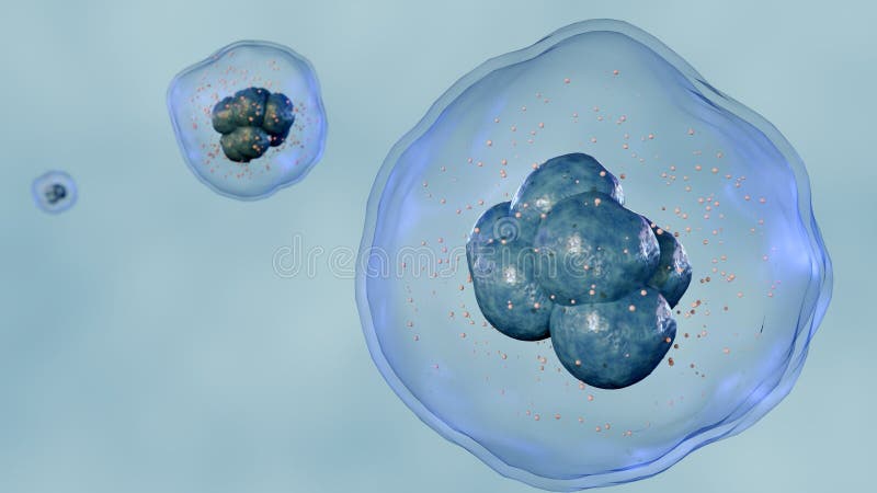 3d Rendering of a Microscopic View of Multiple Cells Stock Illustration ...