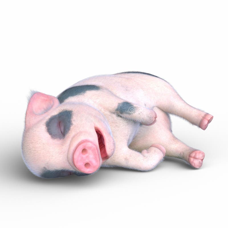 3D Rendering of a Miniature Pig Stock Illustration - Illustration of ...