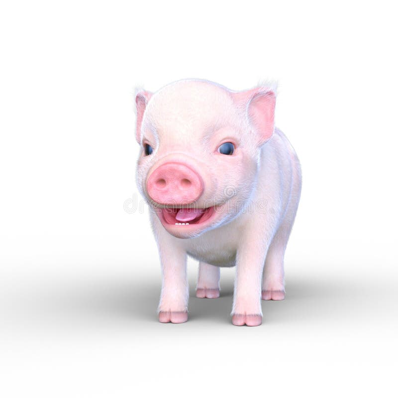 3D Rendering of a Miniature Pig Stock Illustration - Illustration of ...