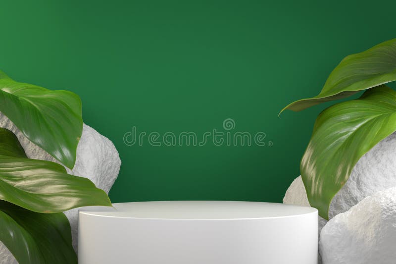 3d Rendering Mockup Empty White Stand Display, Rock Tropic Plant ...