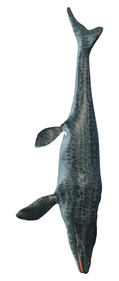 3D Rendering Mosasaur on White Stock Illustration - Illustration of ...
