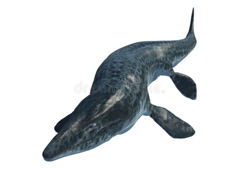 3D Rendering Mosasaur on White Stock Illustration - Illustration of ...