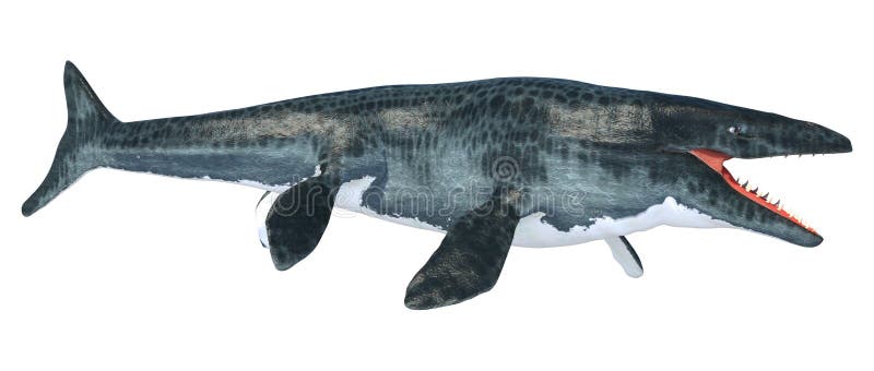 Dinosaur Mosasaur Stock Illustrations – 163 Dinosaur Mosasaur Stock ...