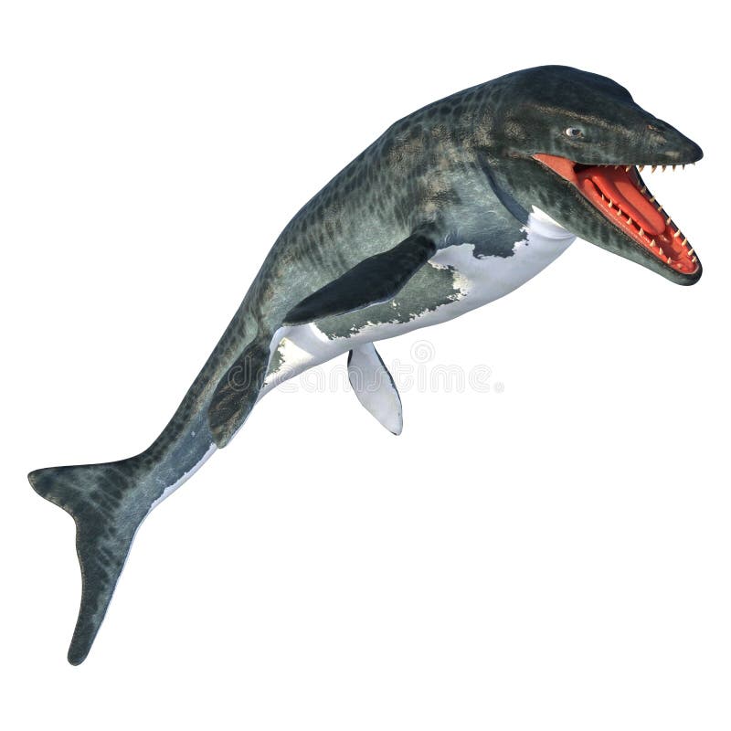 3D Rendering Mosasaur on White Stock Illustration - Illustration of ...