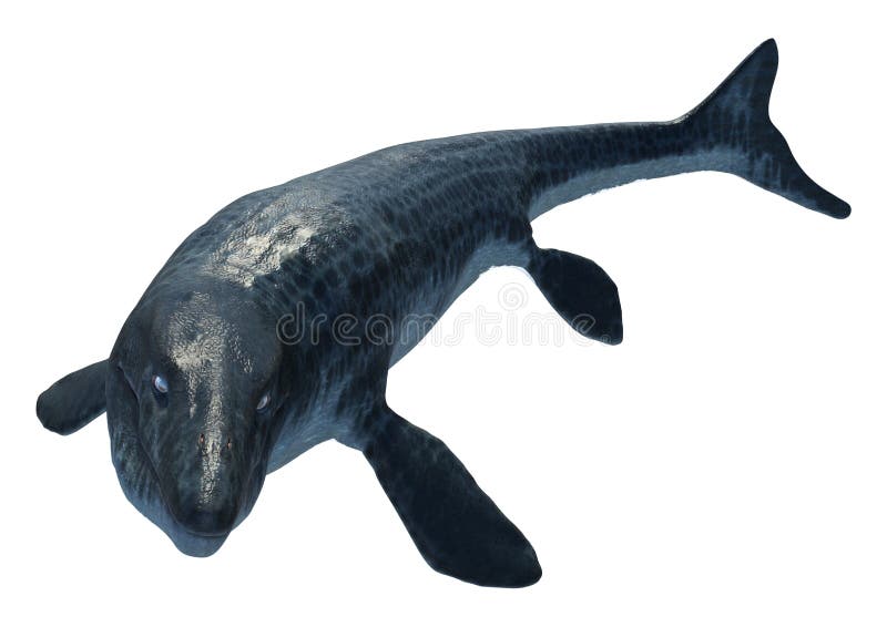 3D Rendering Mosasaur on White Stock Illustration - Illustration of ...