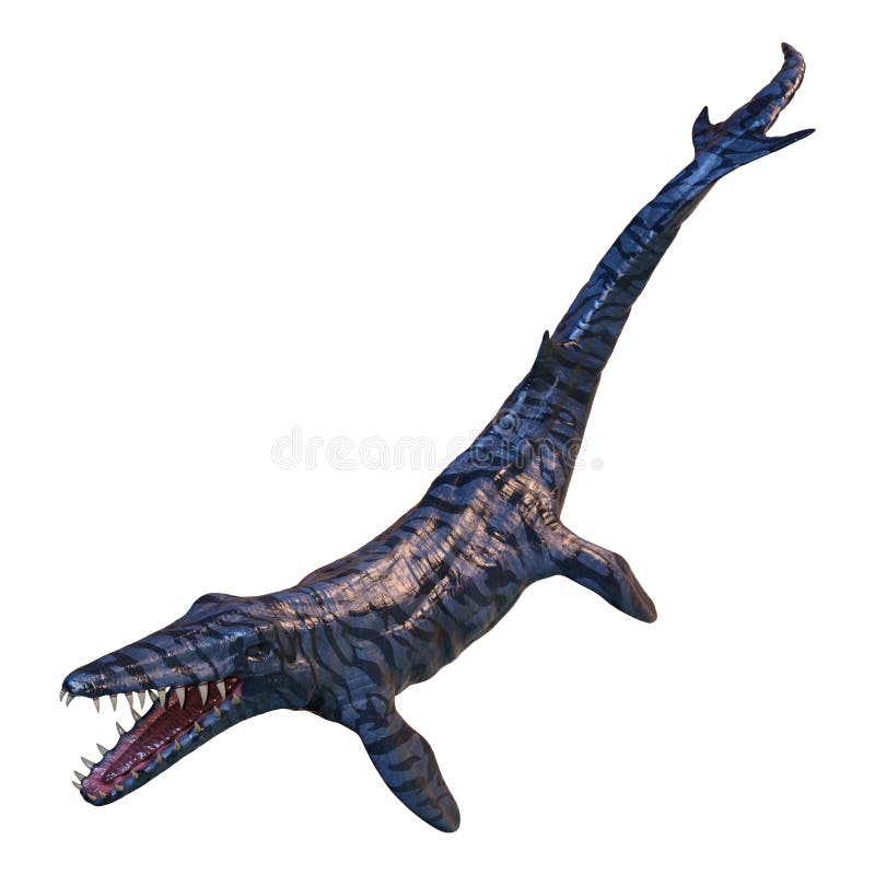 Mosasaurus Isolated on White. Water Dinosaur Predator in Violet Color ...