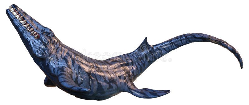 3D Rendering Mosasaurus on White Stock Illustration - Illustration of ...