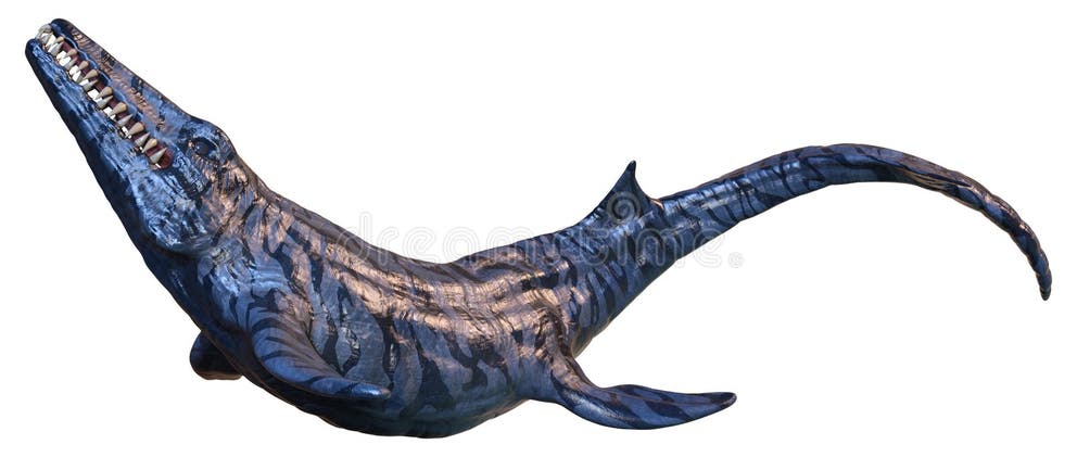 3D Rendering Mosasaurus on White Stock Illustration - Illustration of ...