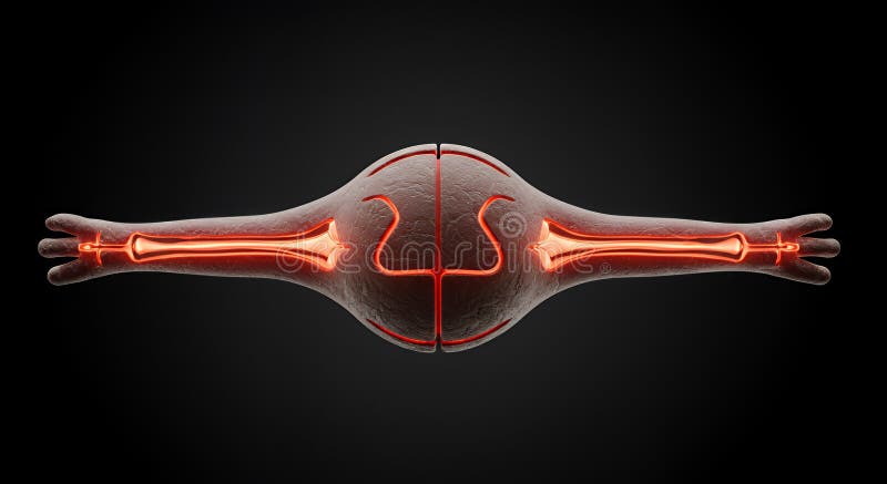 Detailed 3D Render of Neuron with Glowing Orange Synapses Against Dark ...