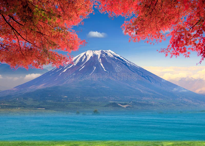 3d Rendering of Nice View with Beautiful Fuji Mountaion Stock ...