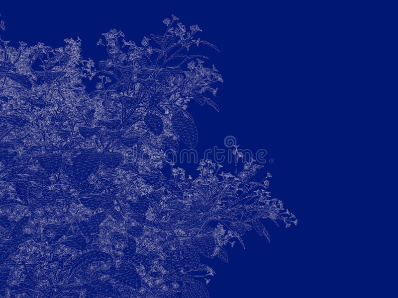 3d Rendering of an Outlined Tree Blueprint on Blue Back Stock ...