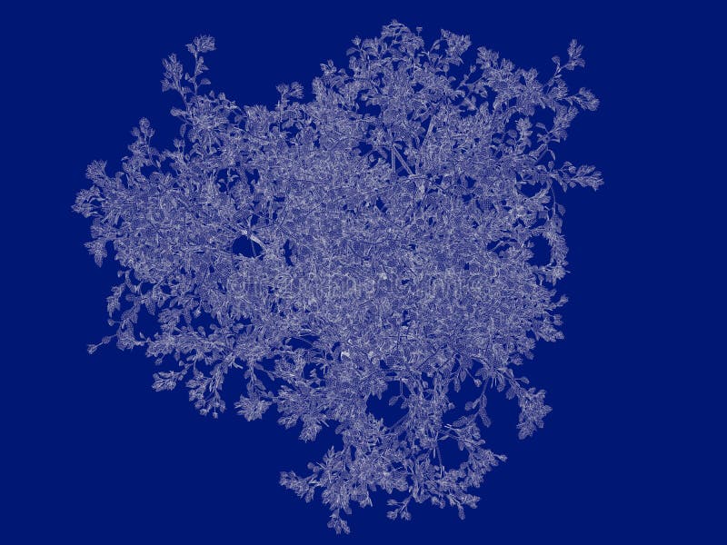 3d Rendering of an Outlined Tree Blueprint on Blue Back Stock ...