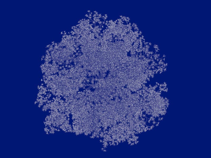 3d Rendering of an Outlined Tree Blueprint on Blue Back Stock ...