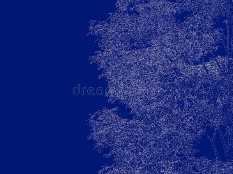 3d Rendering of an Outlined Tree Blueprint on Blue Back Stock ...