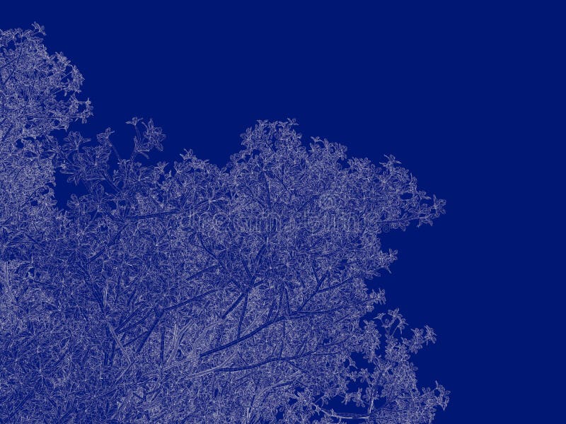 3d Rendering of an Outlined Tree Blueprint Isolated on Blue Back Stock ...