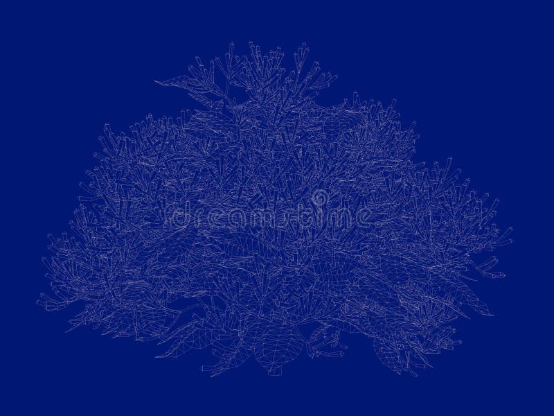 3d Rendering of an Outlined Tree Blueprint Isolated on Blue Back Stock ...