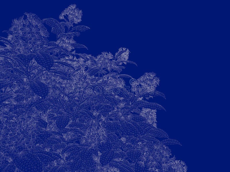 Tree Blueprint Stock Illustrations – 811 Tree Blueprint Stock ...