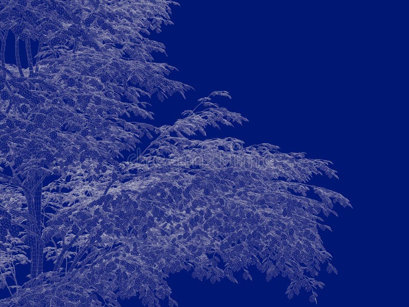 3d Rendering of an Outlined Tree Blueprint Isolated on Blue Back Stock ...
