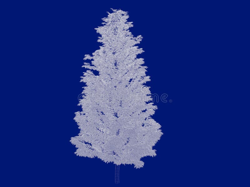 3d Rendering of an Outlined Tree Blueprint Isolated on Blue Back Stock ...