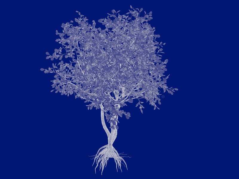 3d Rendering of an Outlined Tree Blueprint Isolated on Blue Back Stock ...