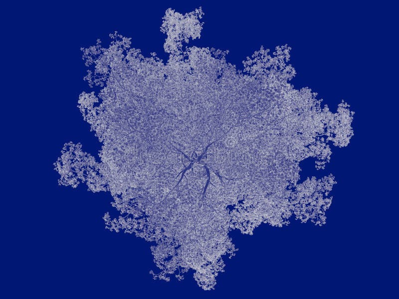 Bush Plan View Stock Illustrations – 1,335 Bush Plan View Stock ...