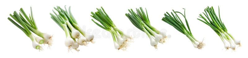 3D Rendering Pack of a Spring Onion on Transparent Background Stock ...