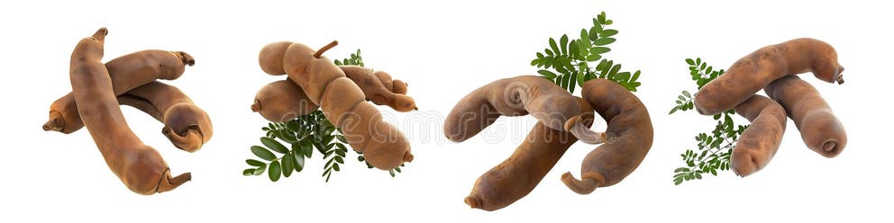 3D Rendering Pack of a Tamarind on Transparent Background Stock ...