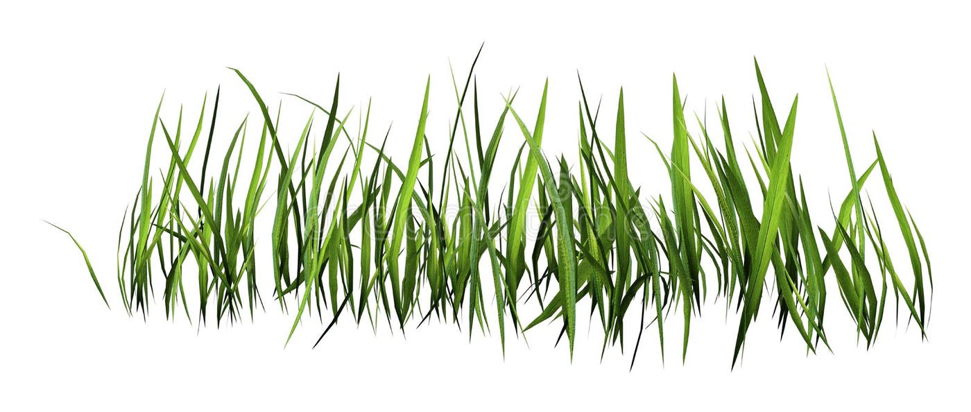 Patch Grass Stock Illustrations – 2,888 Patch Grass Stock Illustrations ...