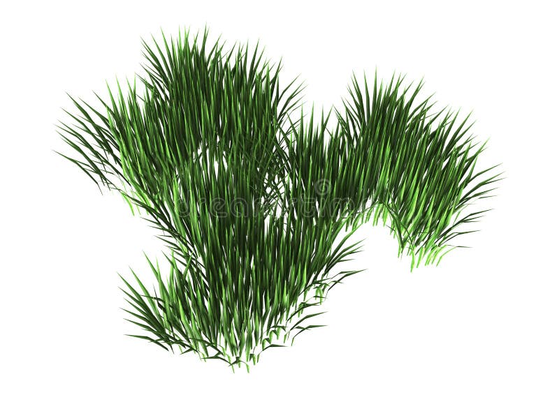 Patch of grass stock image. Image of texture, nature, green - 5361899