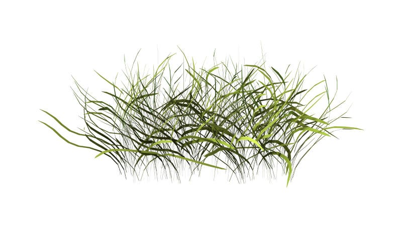 Grass patch stock vector. Illustration of texture, design - 13539795