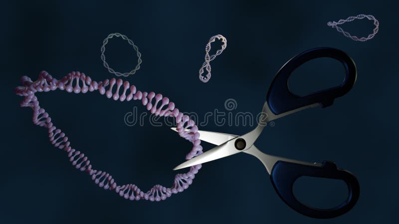 A 3d Rendering of Plasmid DNA and Scissors. Stock Illustration ...