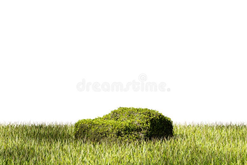 3D Rendering Platform Podium with Grass Plant Product Presentation ...