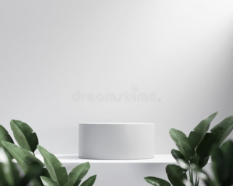 3D Rendering Platform Podium with Plant Product Presentation Background ...